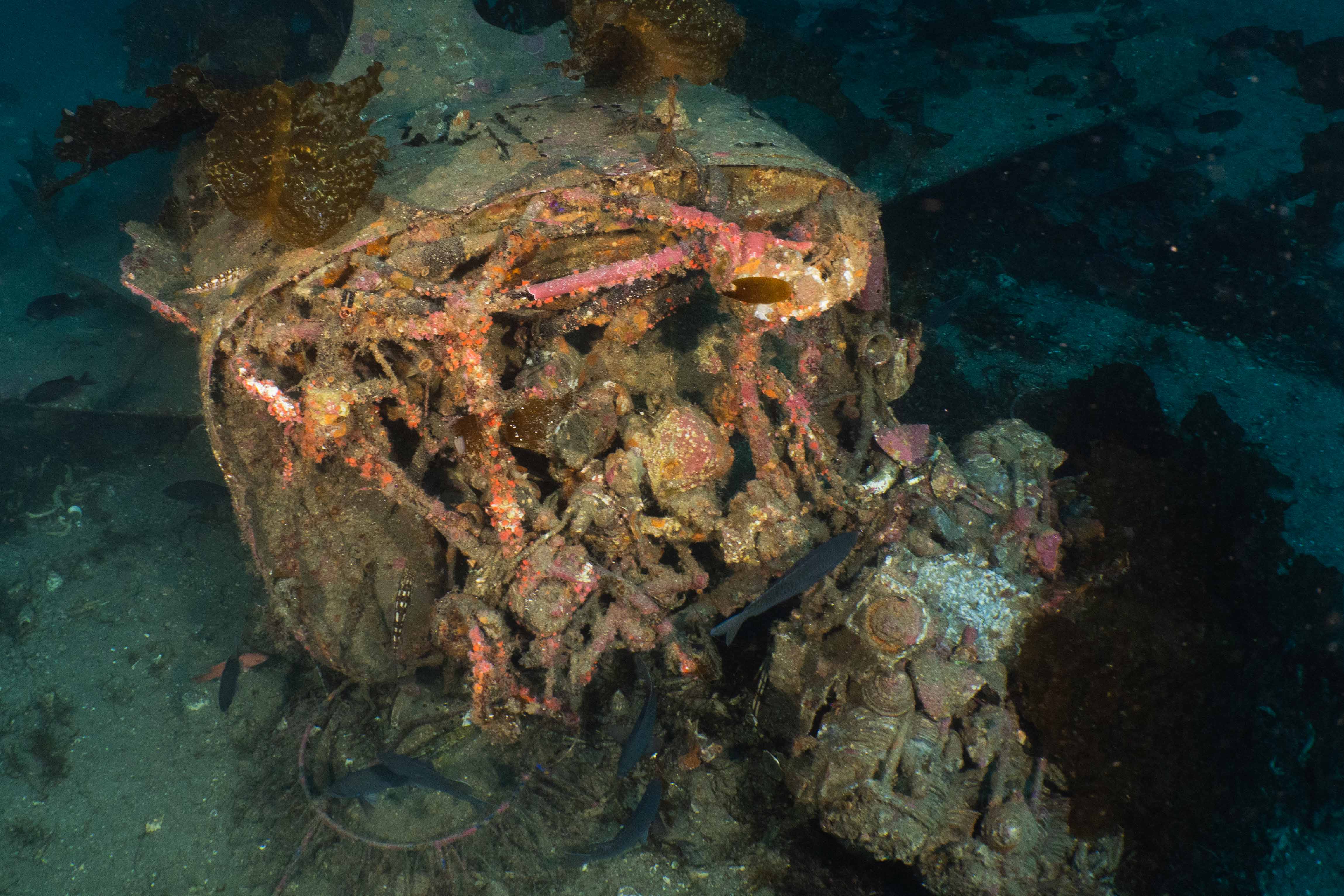 Piper Cherokee Plane Wreck (130 feet, Catalina Island) – Wrecked in my rEvo