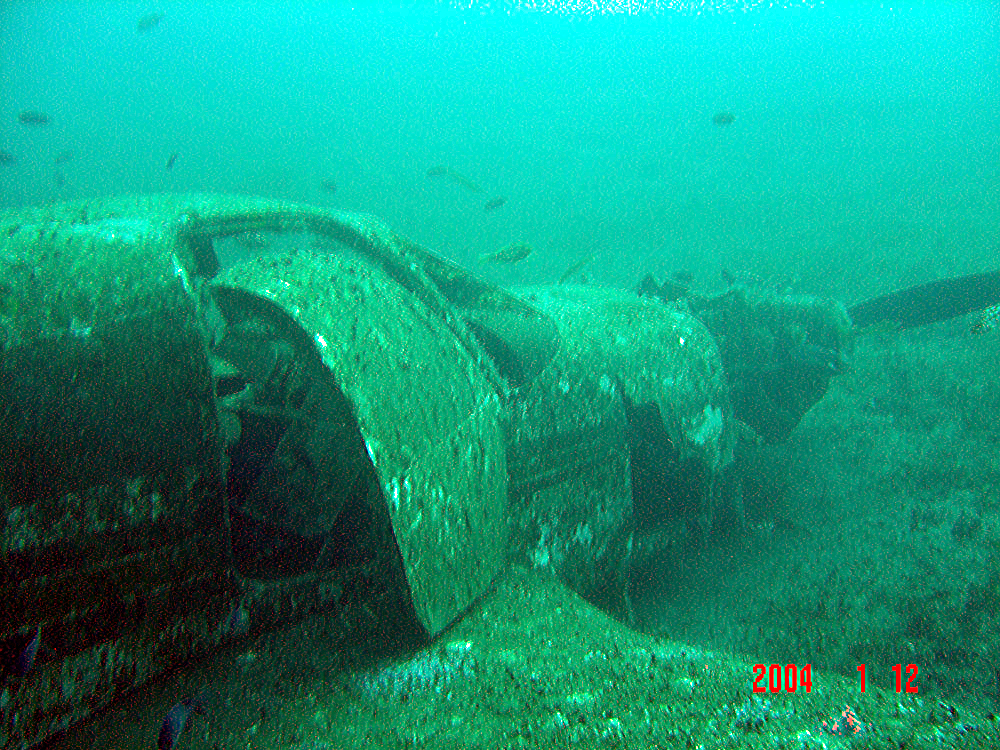 nose – Wrecked in my rEvo