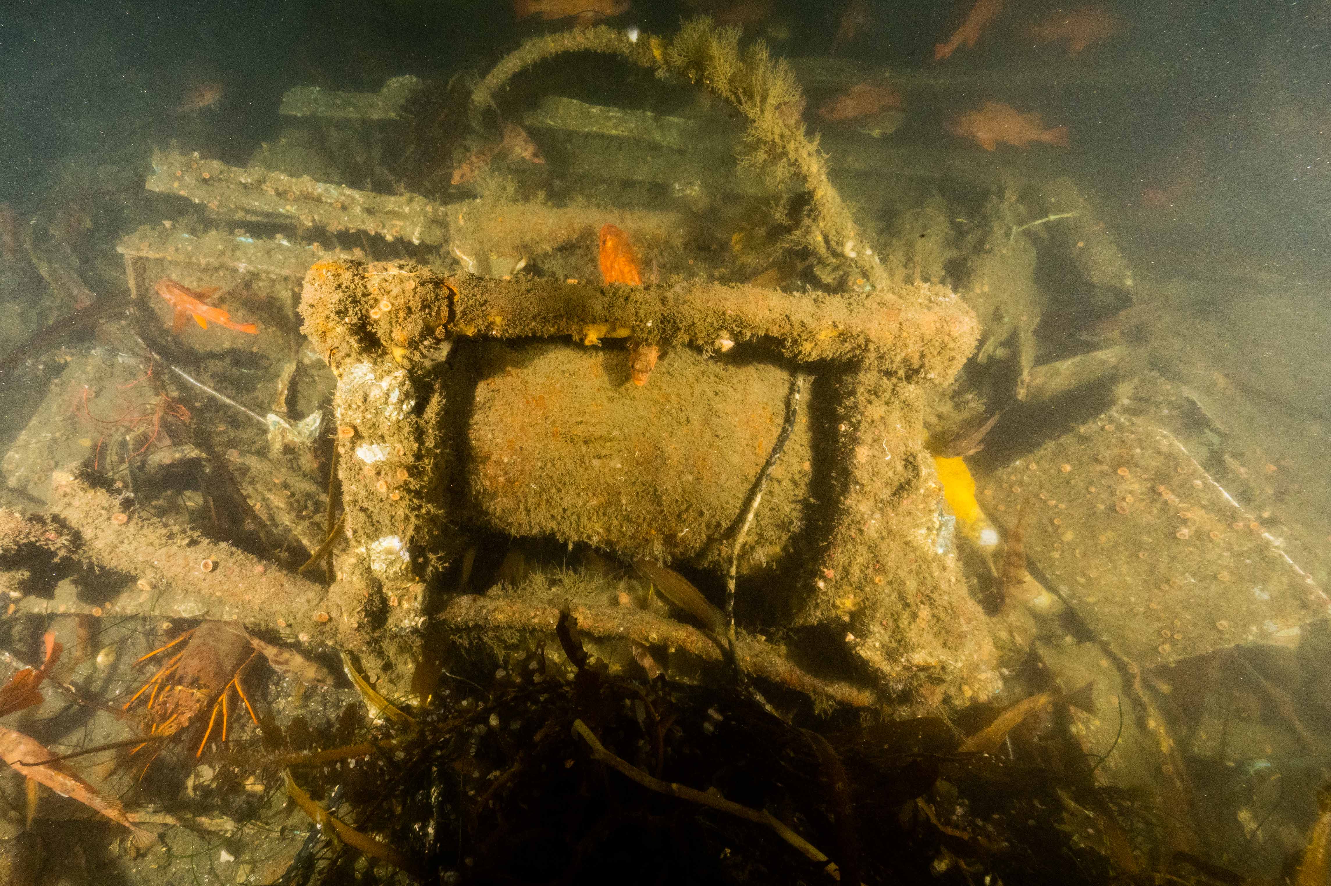 sbd11 – Wrecked in my rEvo