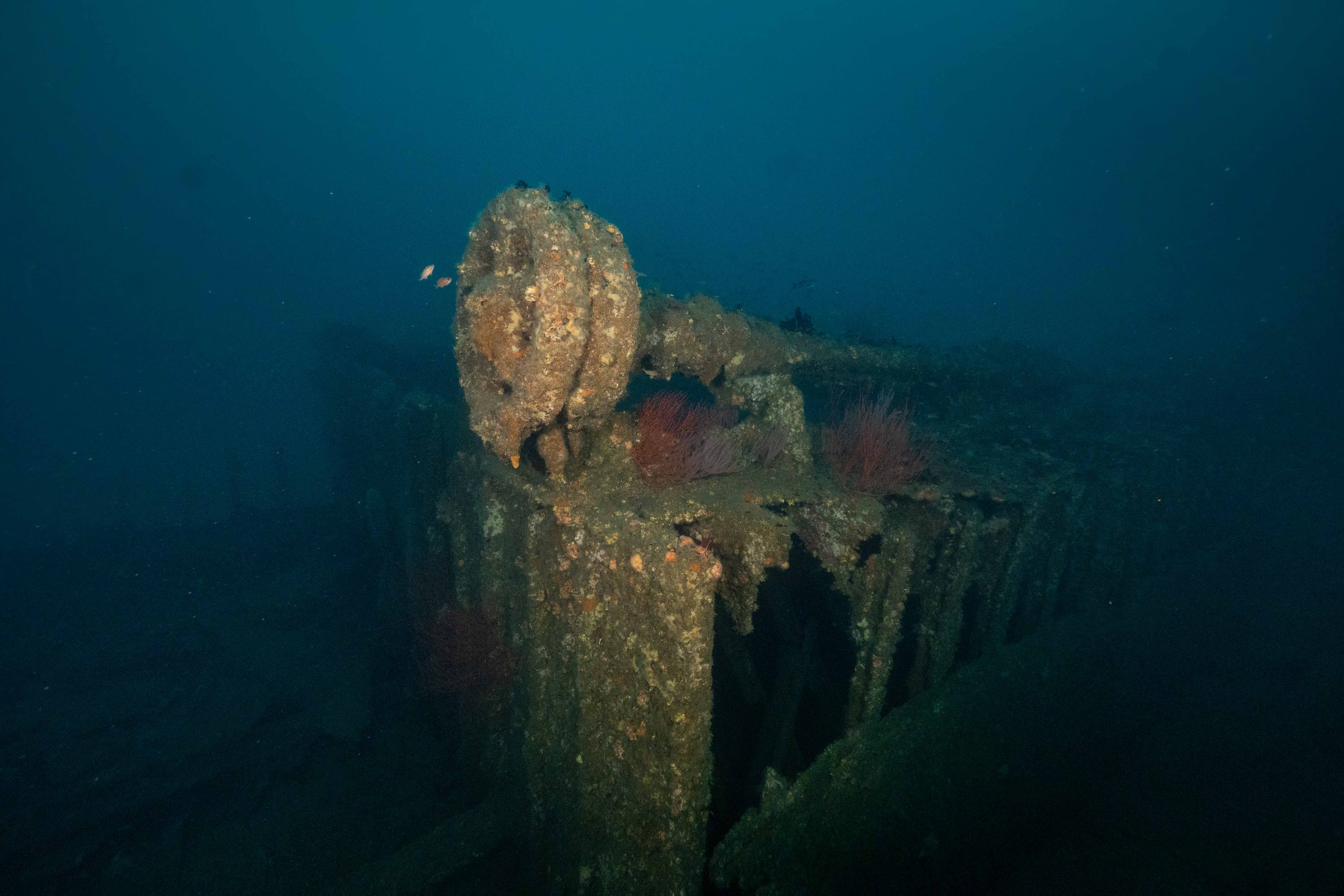 barge-1 – Wrecked in my rEvo