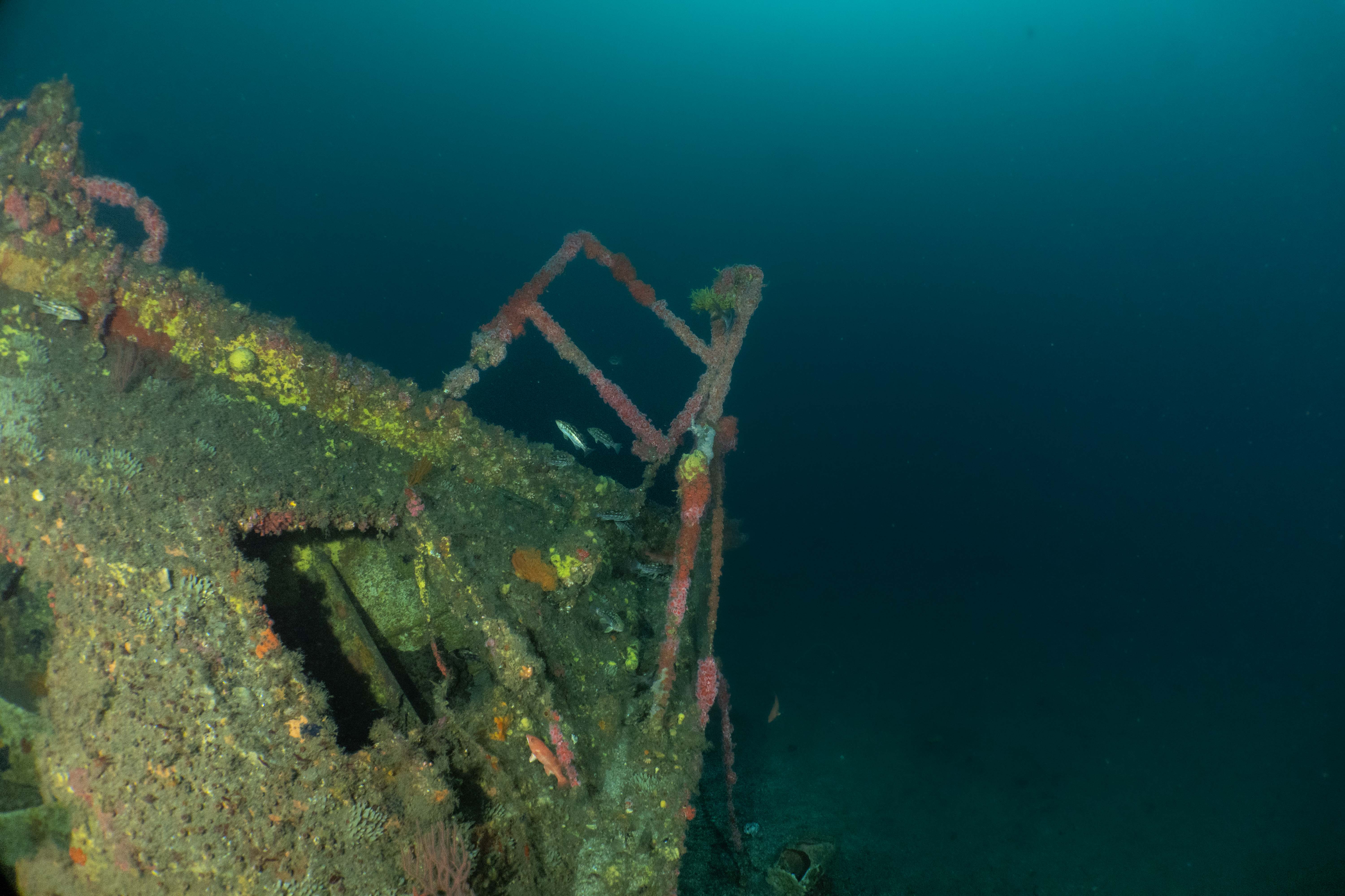 cdm10 – Wrecked in my rEvo