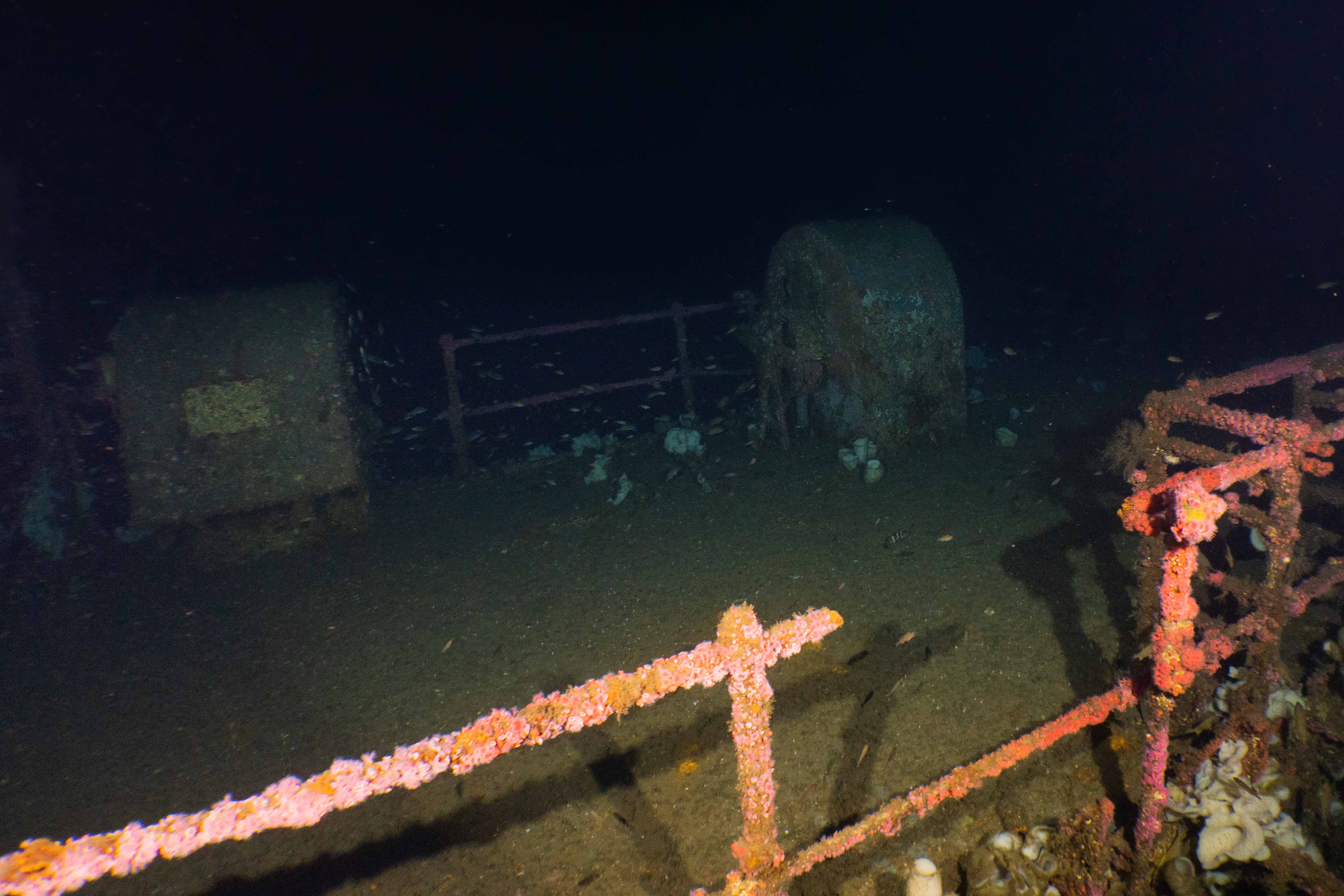vm-4 – Wrecked in my rEvo