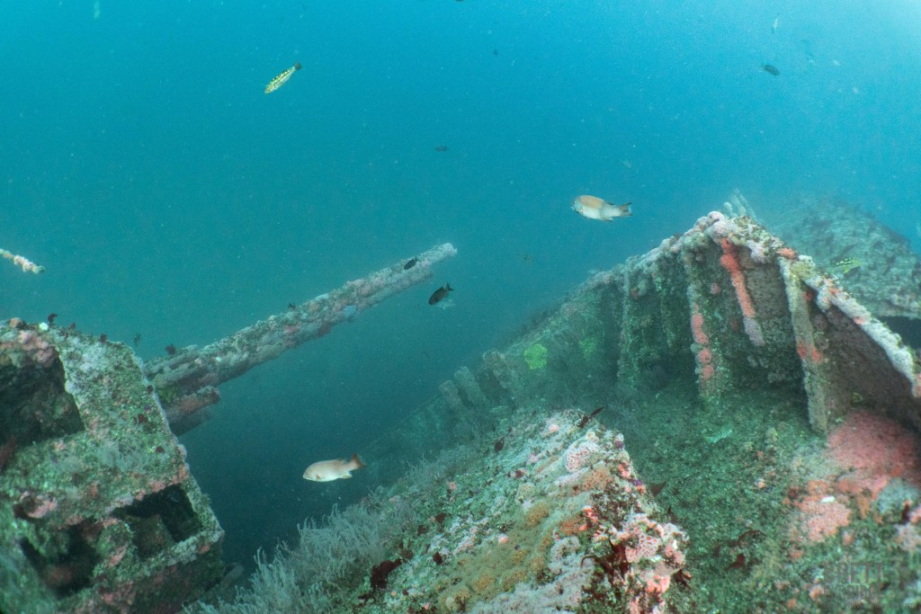HCMS Yukon (DDE 263) Photogrammetry Model – Dive 4 – Wrecked in my rEvo