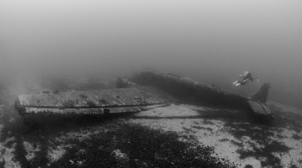 Junkers Ju 52 Photogrammetry Model (Kea, Greece — 205 fsw) – Wrecked in my rEvo